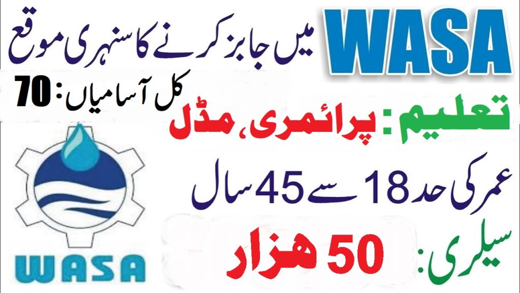 WASA Bahawalpur Jobs - Romote Jobs Pakistan