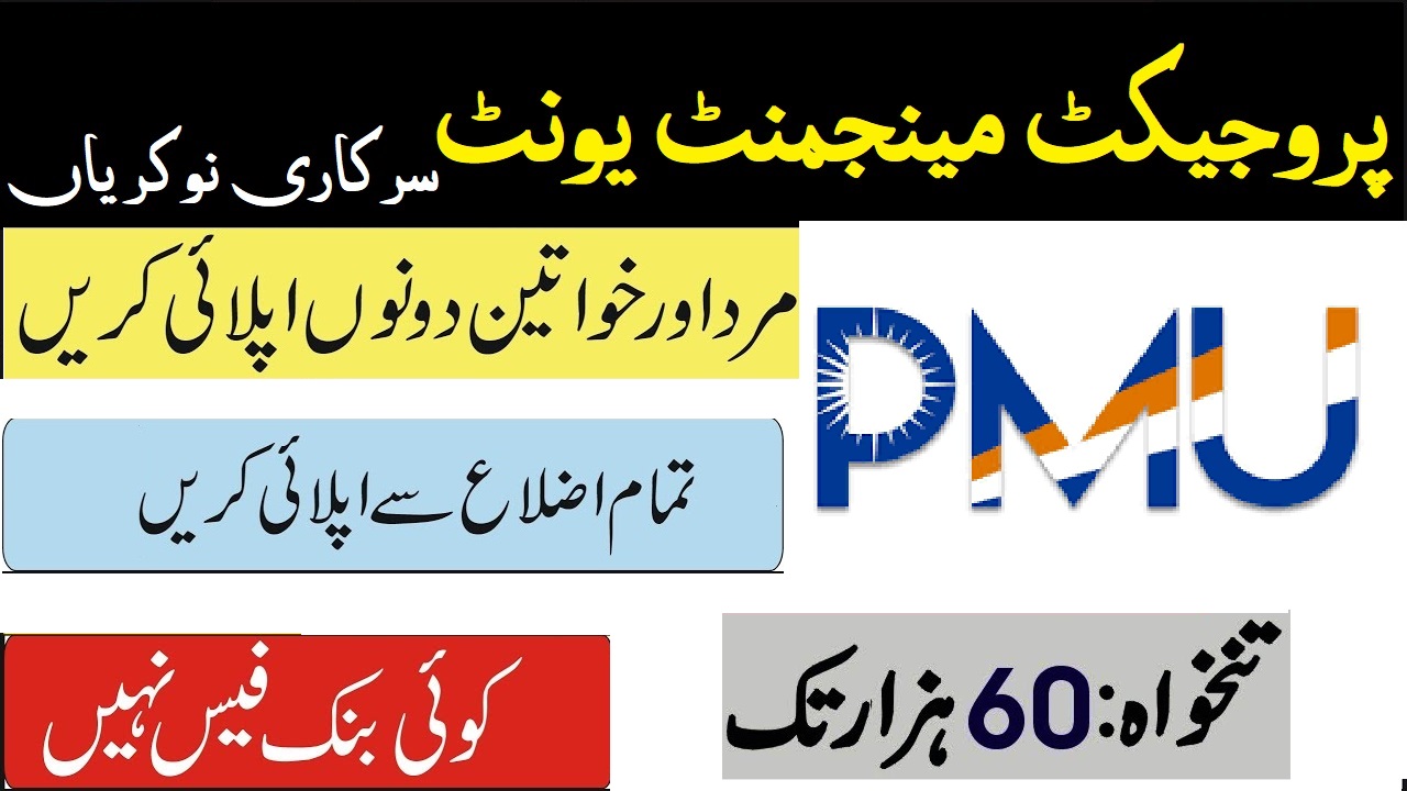 Program Management Unit PMU Jobs 2026 - Romote Jobs Pakistan